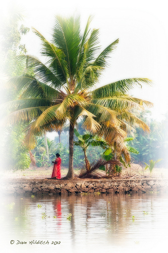 Deborah under a palm tree – Simply Church